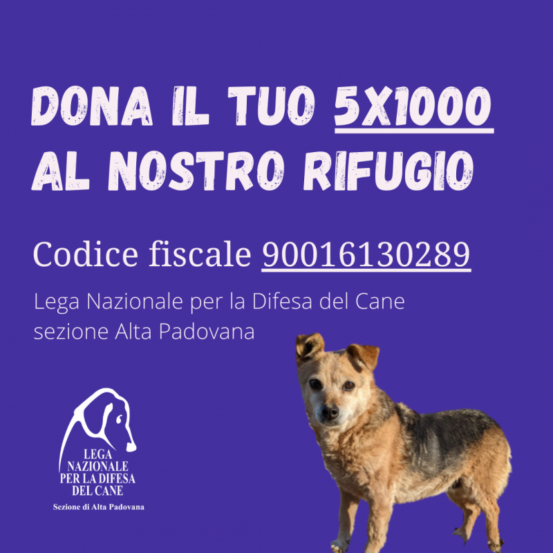 Dona Il Tuo 5x1000 Canile Padova Dona Il Tuo 5x1000 Canile Padova